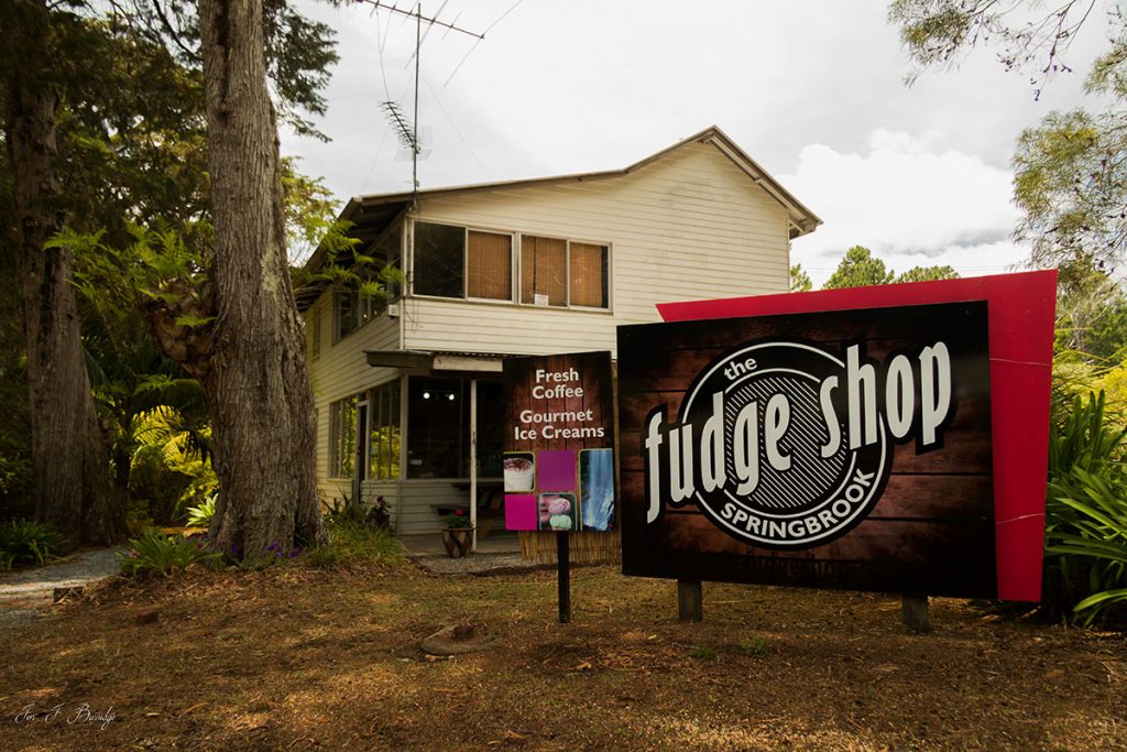 Springbrook Nemzeti Park – Világutazó