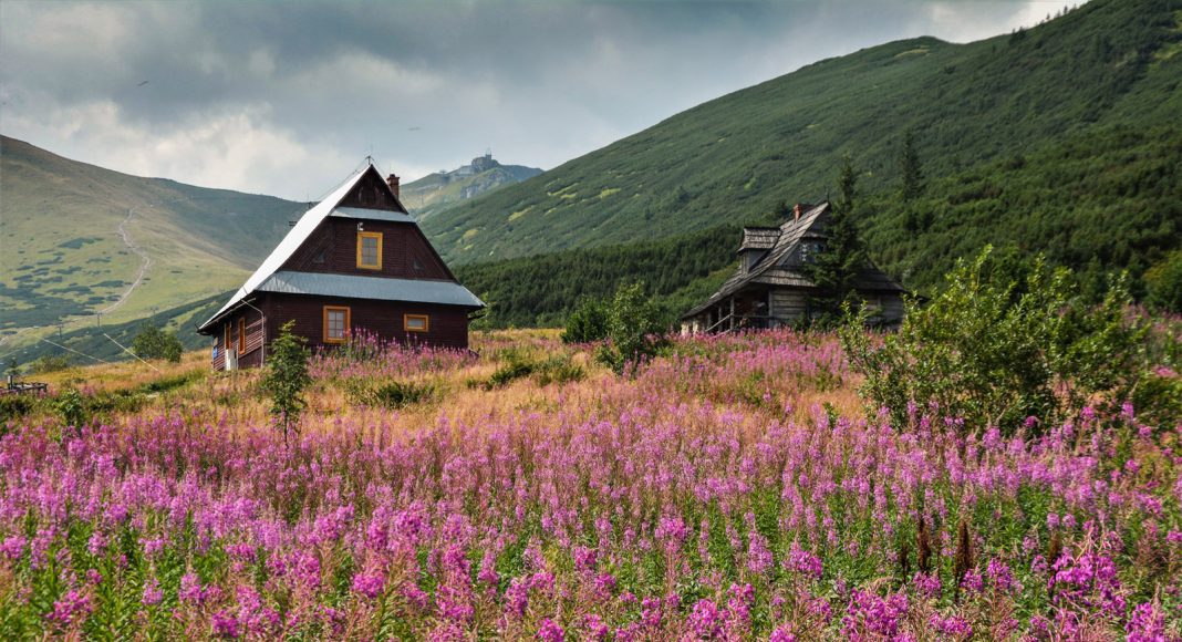 Tátrai túrák Zakopane környékén – Világutazó